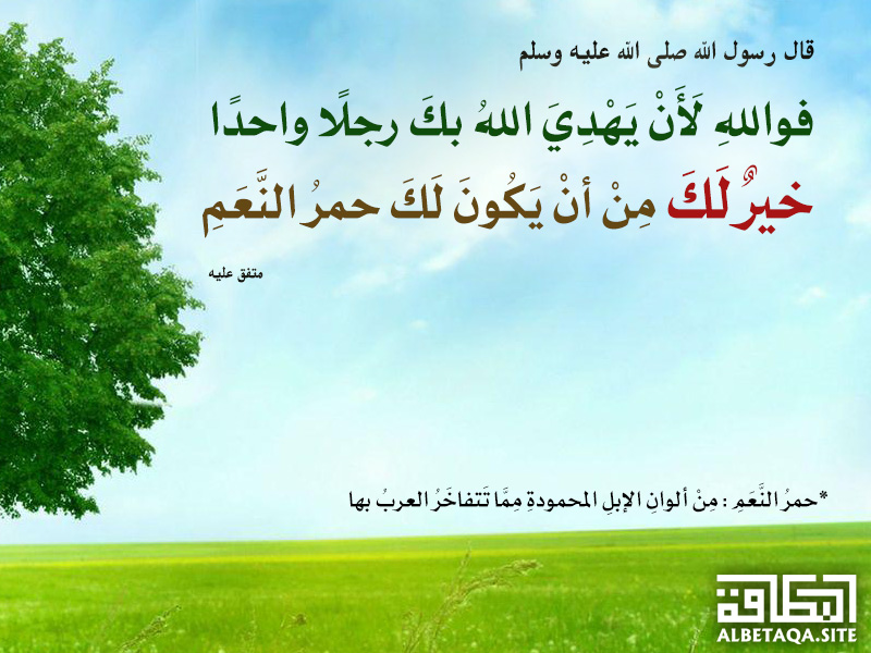 ﻿أخلاق المسلم الصغير – إكرام الضيف | موقع البطاقة الدعوي